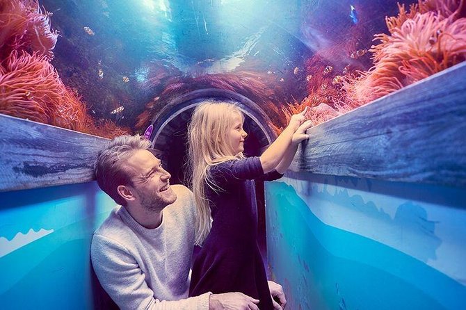 SEA LIFE Brighton Admission Ticket - Additional Offerings and Visitor Tips