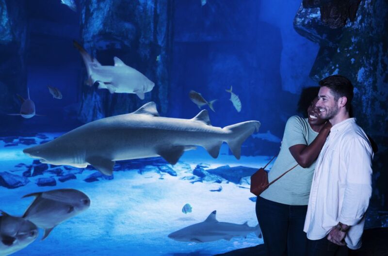 SEA LIFE Charlotte-Concord Aquarium General Admission - What to Expect During Your Visit