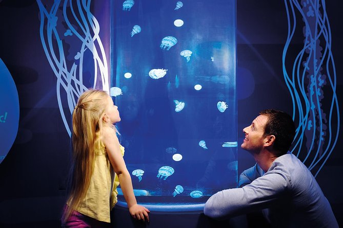 SEA LIFE Great Yarmouth General Admission - Admission Pricing and Cancellation Policy