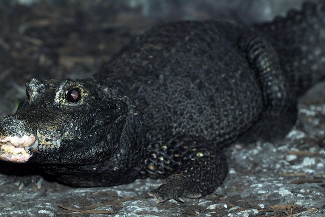 SEA LIFE Great Yarmouth General Admission - Rockpool Touch Tank Experience