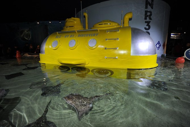 SEA LIFE Great Yarmouth General Admission - Accessibility and Physical Fitness Recommendations