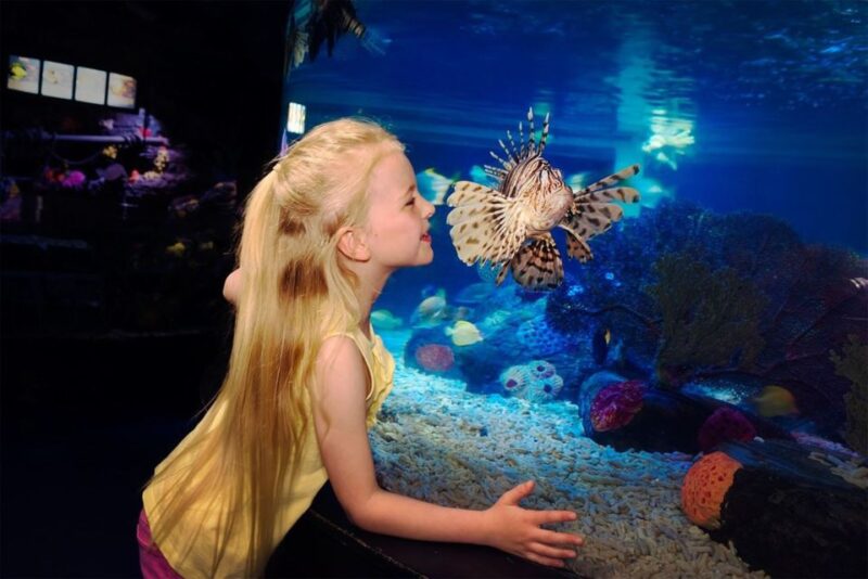 SEA LIFE Great Yarmouth - Practical Details: How to Make the Most of Your Visit