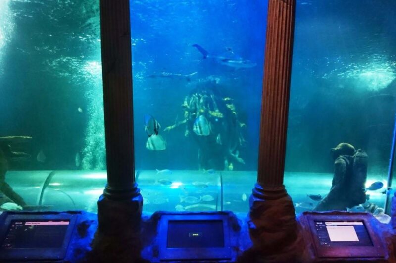 SEA LIFE Great Yarmouth - Who Will Love This Experience?