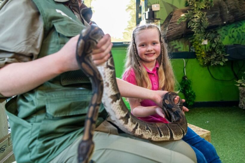 Sea Life Hunstanton - Final Thoughts