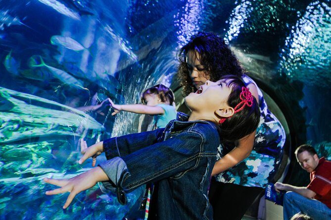 SEA LIFE Kansas City Aquarium Admission Ticket - A Closer Look at the Aquarium Experience