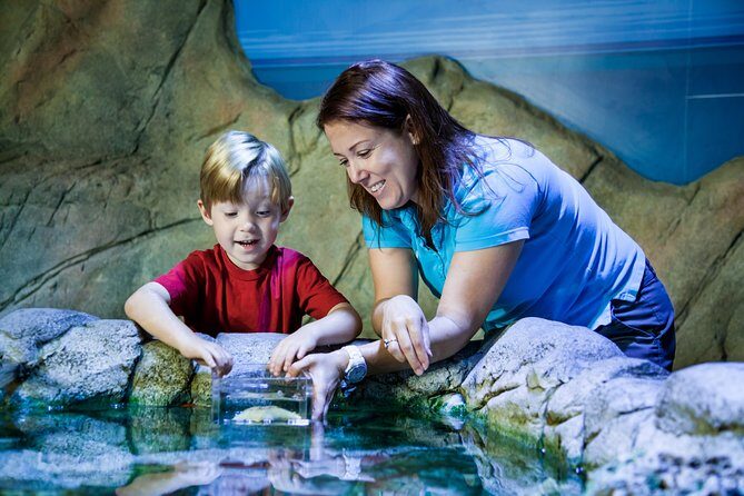 SEA LIFE Kansas City Aquarium Admission Ticket - Pricing and Value