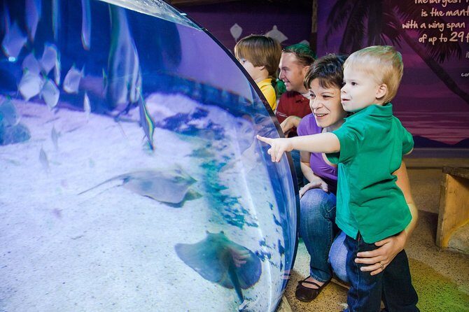 SEA LIFE Kansas City Aquarium Admission Ticket - Final Thoughts
