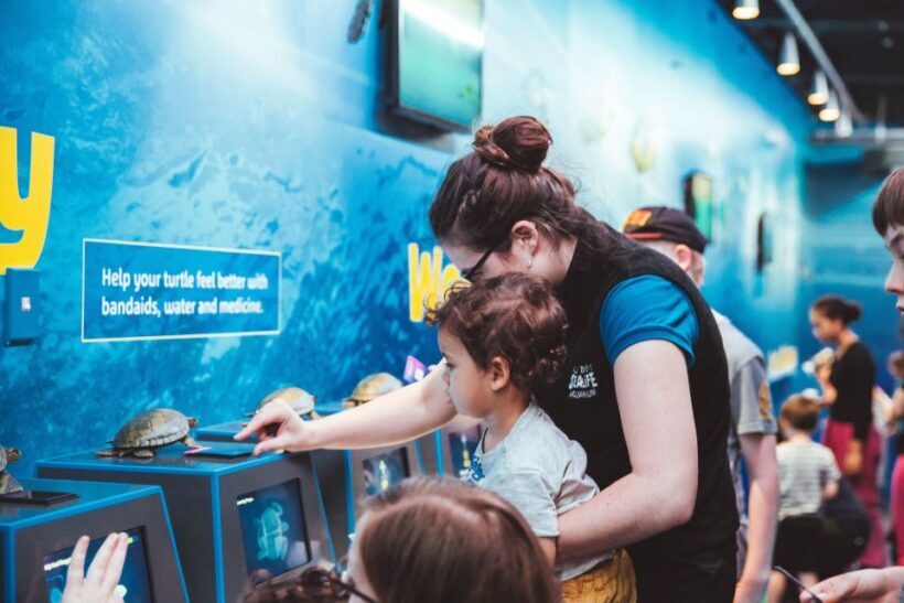 Sea Life Kelly Tarlton's Aquarium General Admission - The Sum Up: Is Kelly Tarlton’s Worth It?