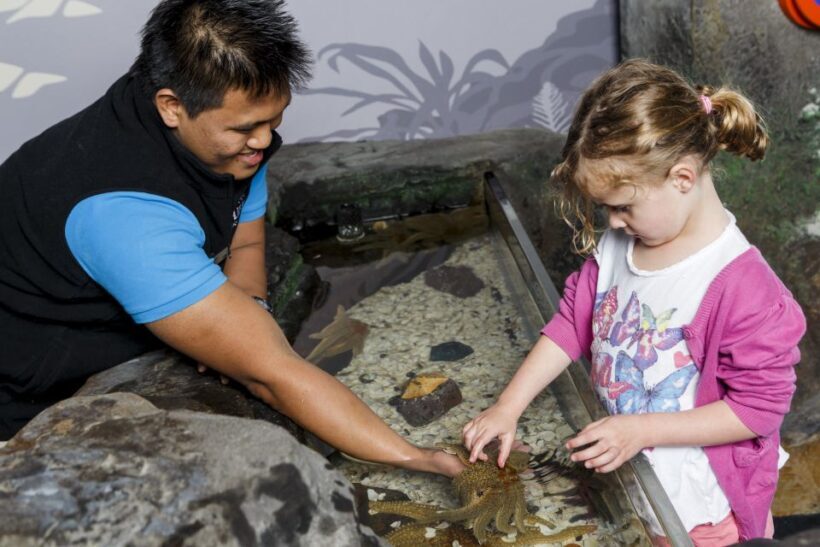 Sea Life Kelly Tarlton's Aquarium General Admission - FAQ