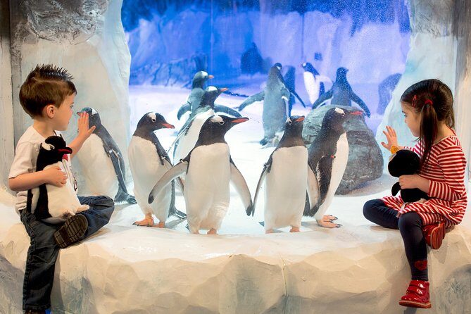 SEA LIFE Kelly Tarlton's General Admission - A Closer Look at SEA LIFE Kelly Tarltons Aquarium in Auckland