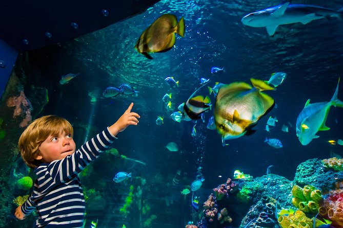 SEA LIFE Konstanz Admission Ticket Incl. Animal Crossing Event - Unique Features and Experiences