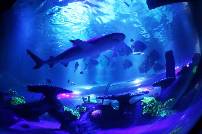 SEA LIFE Konstanz Admission Ticket Incl. Animal Crossing Event - Special Events and Highlights