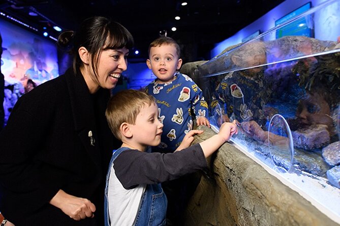 SEA LIFE London Aquarium Admission Ticket - Ticket Booking and Entry Requirements