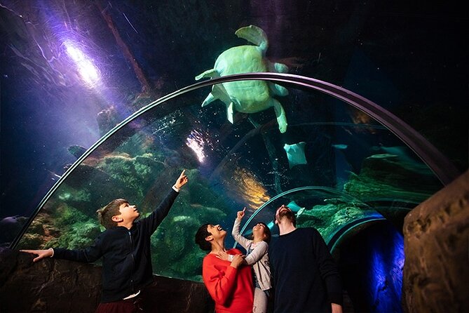 SEA LIFE London Aquarium Admission Ticket - Live Feeding Sessions and Educational Talks