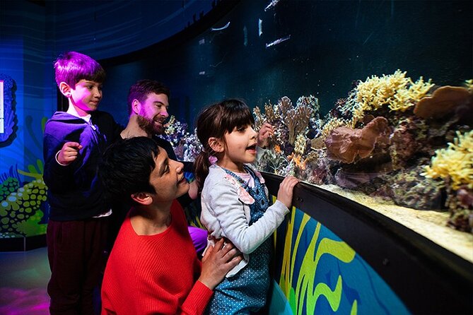 SEA LIFE London Aquarium Admission Ticket - Tips for Avoiding Crowds and Enhancing Your Visit