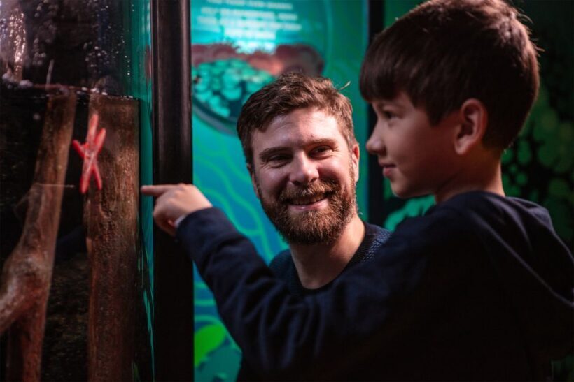 SEA LIFE London & DreamWorks Shrek's Adventure: Combo Ticket - DreamWorks Shreks Adventure: A Fairy Tale in 4D