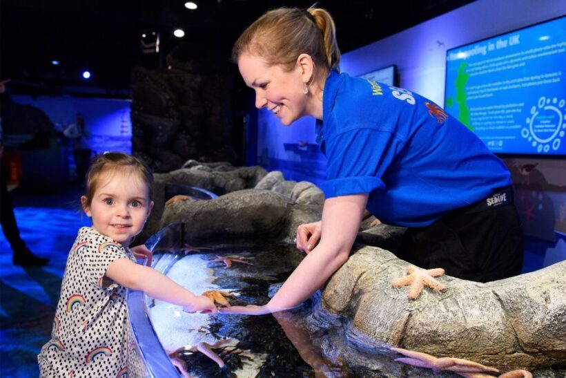 SEA LIFE London & DreamWorks Shrek's Adventure: Combo Ticket - Practicalities and Pricing