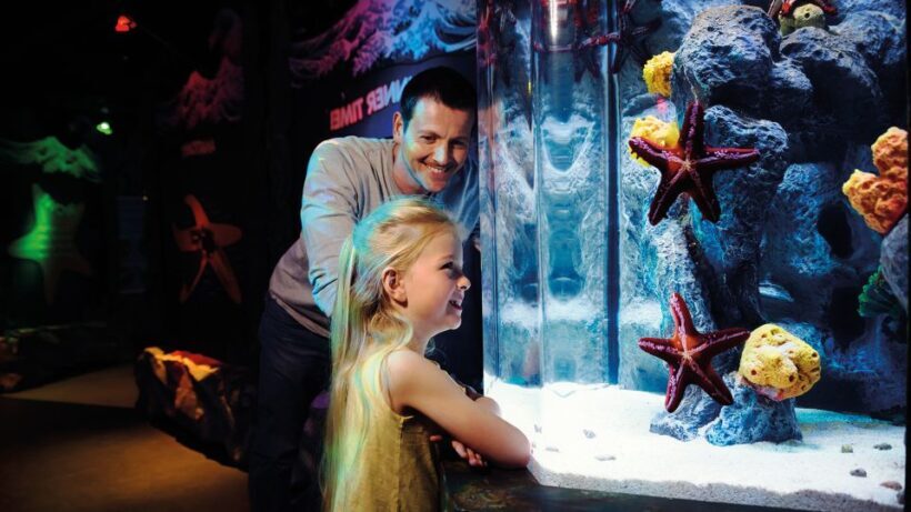SEA LIFE London & DreamWorks Shrek's Adventure: Combo Ticket - What the Experience Means for You