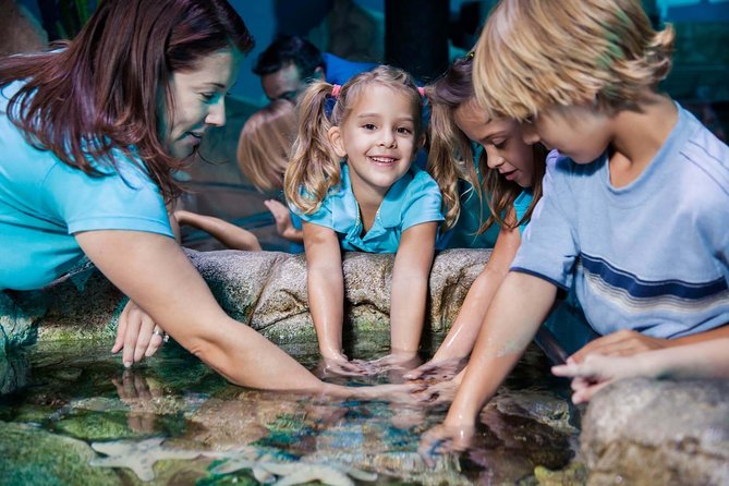 SEA LIFE Manchester Admission Ticket - Additional Information and Recommendations
