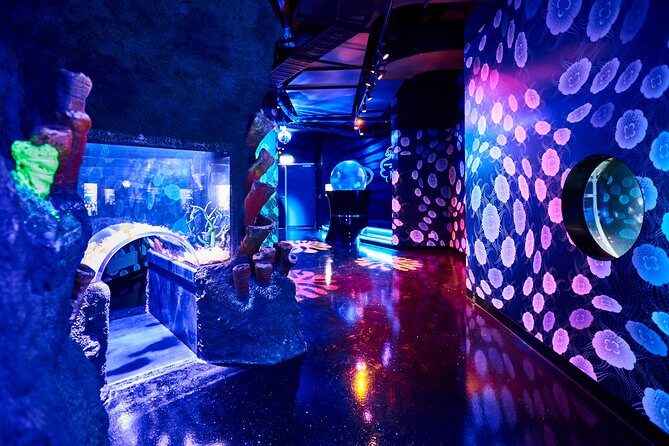 SEA LIFE Melbourne Aquarium Admission Ticket - Introduction to SEA LIFE Melbourne Aquarium