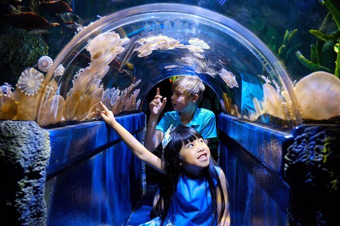 SEA LIFE Melbourne Aquarium Admission Ticket - Animal Encounters and Educational Value