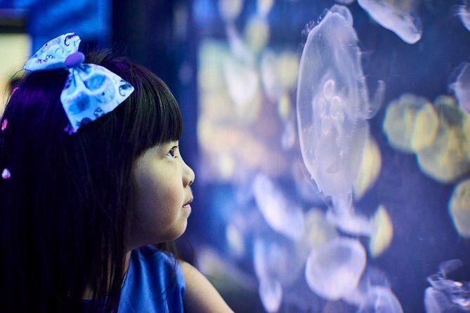 SEA LIFE Melbourne Aquarium Admission Ticket - FAQ