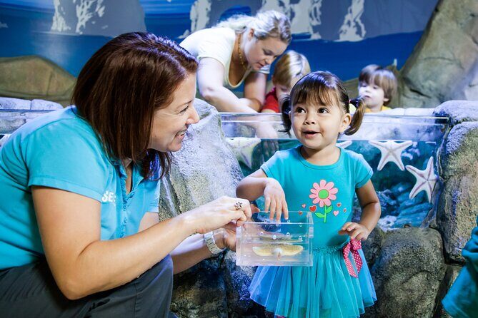SEA LIFE Michigan Aquarium Admission Ticket - A Closer Look at What You’ll Experience