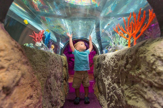 SEA LIFE Michigan Aquarium Admission Ticket - What About the Cost?