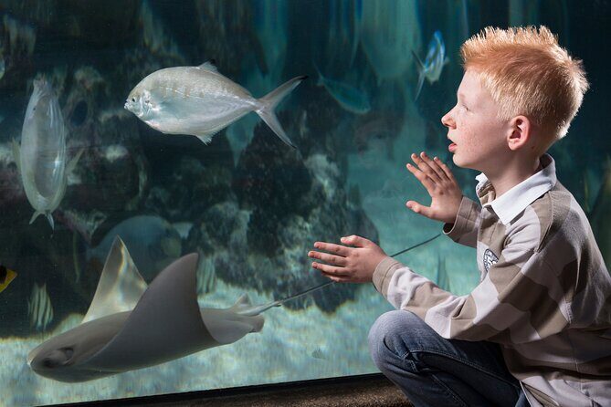 SEA LIFE Michigan Aquarium Admission Ticket - Final Thoughts