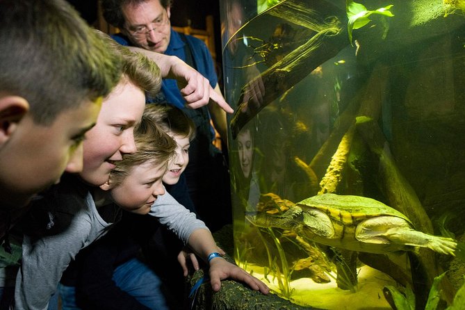 SEA LIFE Munich Admission Ticket - Highlights and Attractions