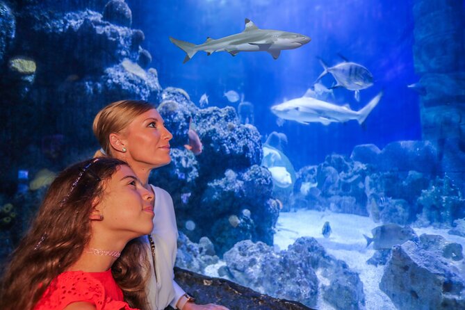 SEA LIFE Munich Admission Ticket - Visitor Information