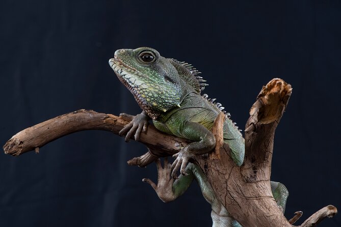 SEA LIFE Munich Admission Ticket - Reviews and Feedback