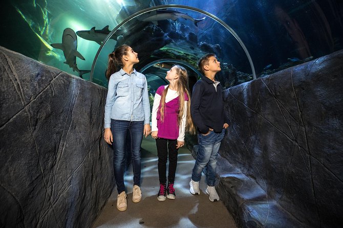 SEA LIFE Munich Admission Ticket - Planning Your Visit