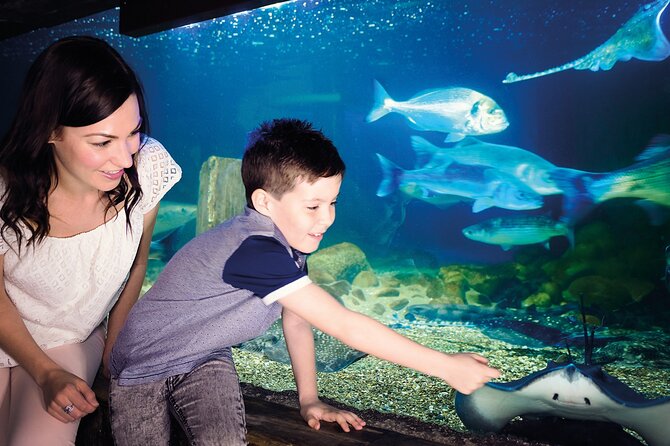 SEA LIFE Munich Admission Ticket - Frequently Asked Questions