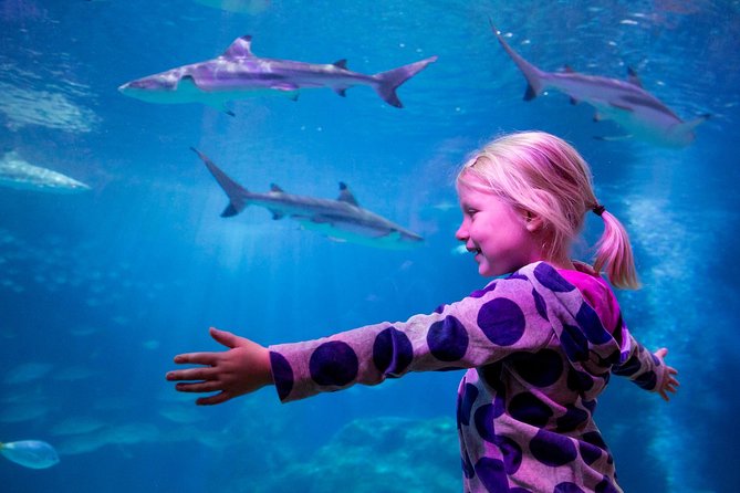 SEA LIFE Oberhausen Admission Ticket - Frequently Asked Questions