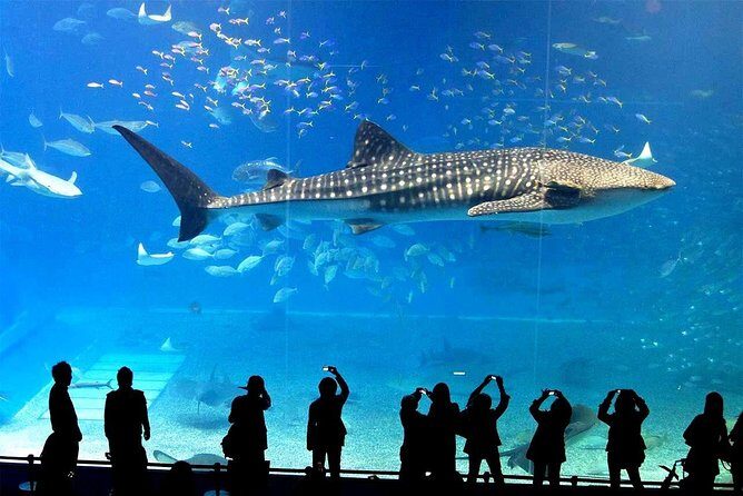 SEA LIFE Ocean World at Bangkok Admission Ticket - Authentic Experiences and Practical Insights