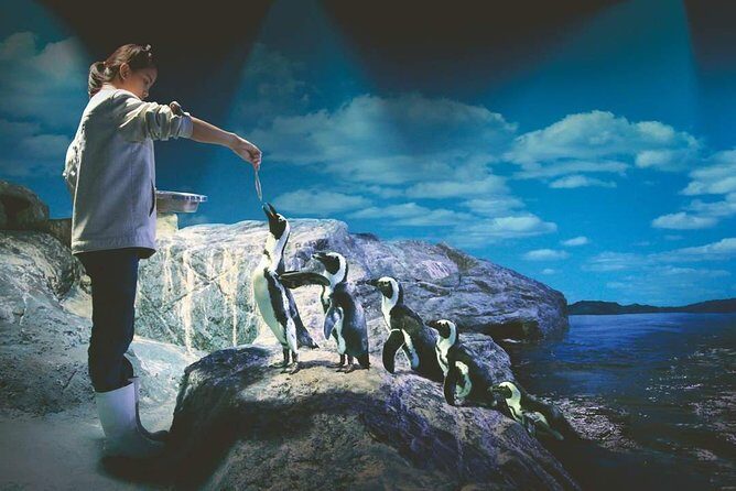 SEA LIFE Ocean World at Bangkok Admission Ticket - FAQ