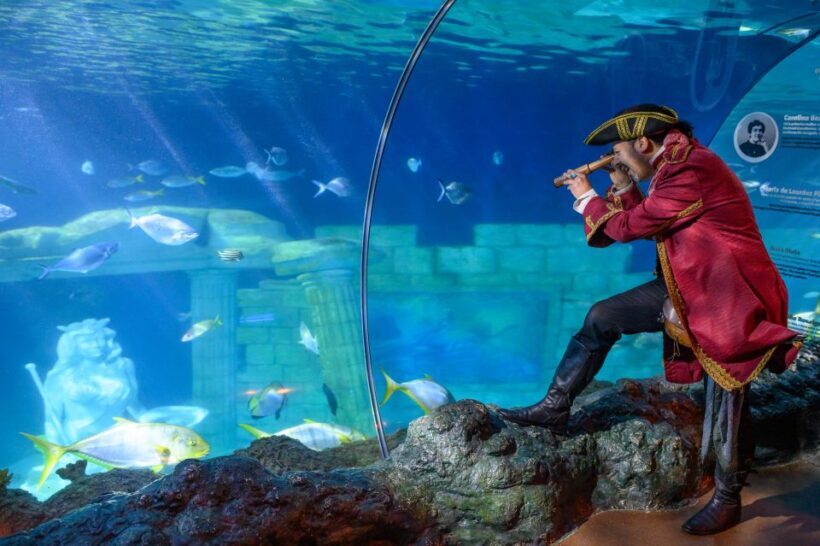SEA LIFE Porto Full-Day Entrance Ticket - Practical Details and Visitor Experience