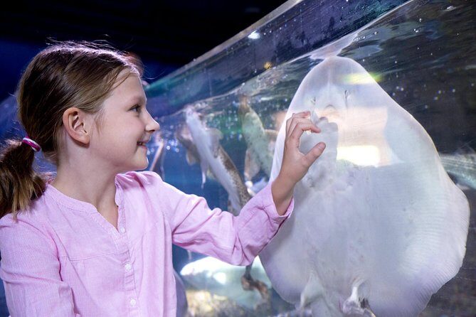 SEA LIFE San Antonio Admission Ticket - What to Expect at SEA LIFE San Antonio
