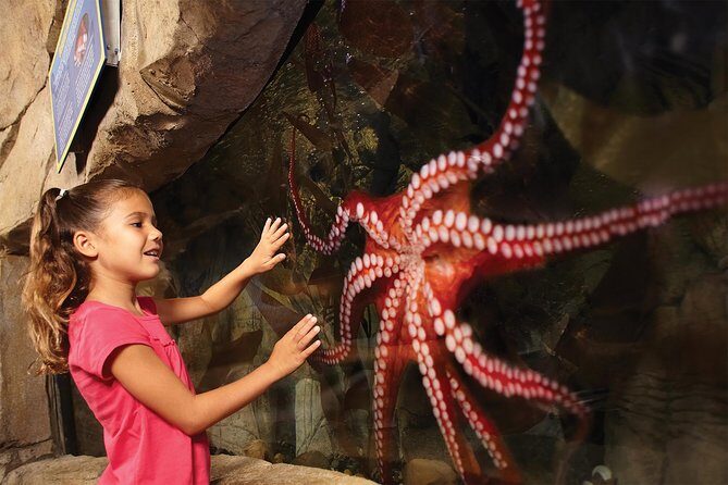 SEA LIFE San Antonio Admission Ticket - FAQs