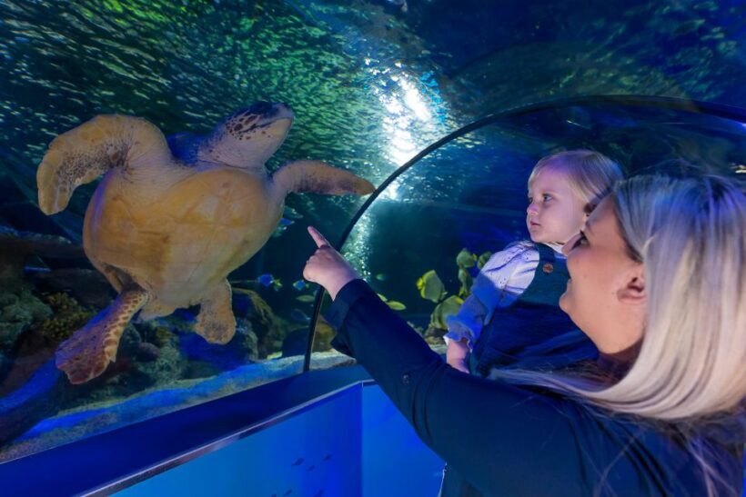 Sea Life Scarborough - Who Should Visit?