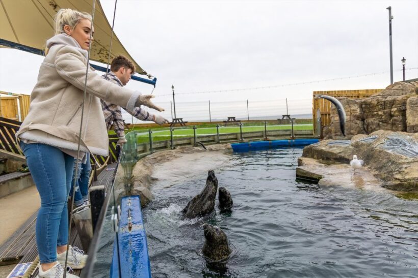 Sea Life Scarborough - Final Thoughts