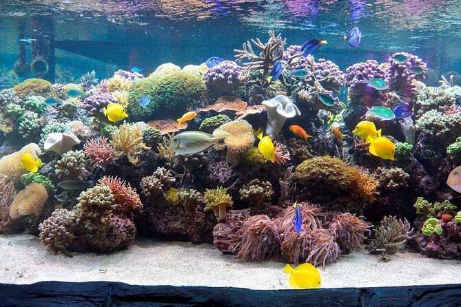 SEA LIFE Speyer Admission Ticket - Admission Pricing and Ticketing