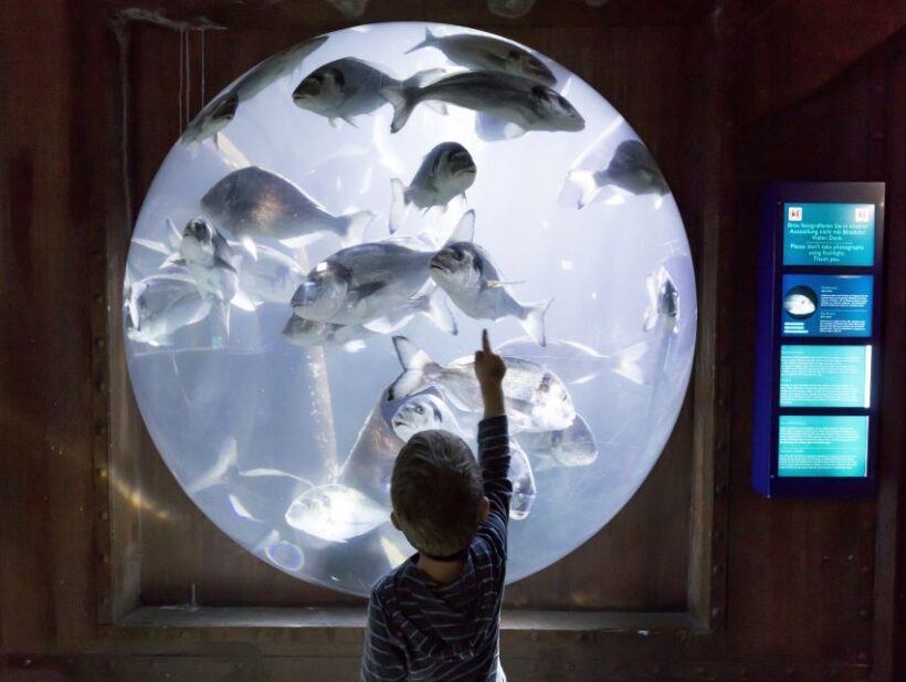 Sea Life Speyer Ticket - FAQ