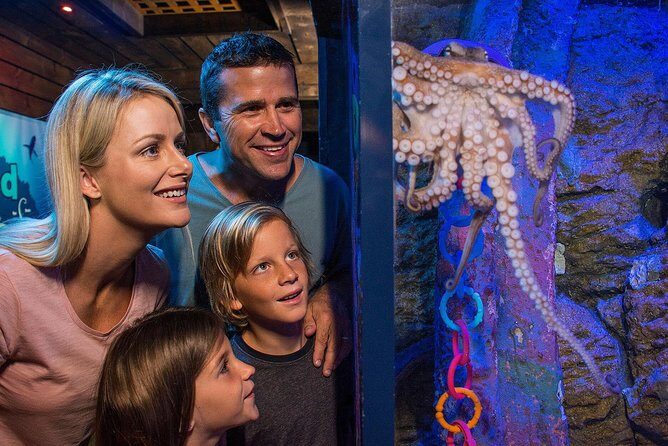 SEA LIFE Sunshine Coast Aquarium Entrance Ticket - Practical Tips for Visiting