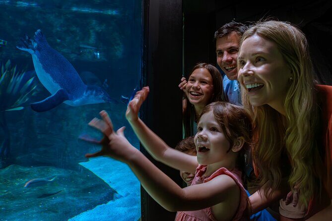 SEA LIFE Sunshine Coast Aquarium Entrance Ticket - The Sum Up