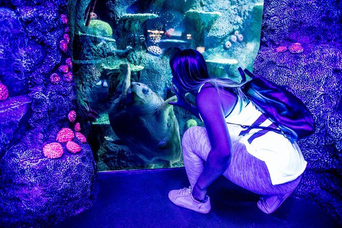 SEA LIFE Sydney Aquarium Entrance Ticket - The Itinerary — What You’ll See and Do