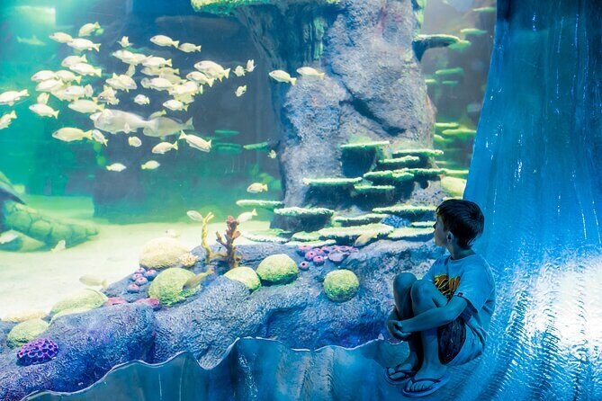 SEA LIFE Sydney Aquarium Entrance Ticket - Practical Details and Tips