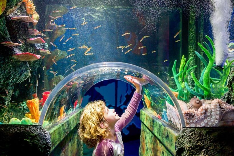 SEA LIFE Sydney Aquarium Entry Ticket - Exploring SEA LIFE Sydney Aquarium: A Practical Guide