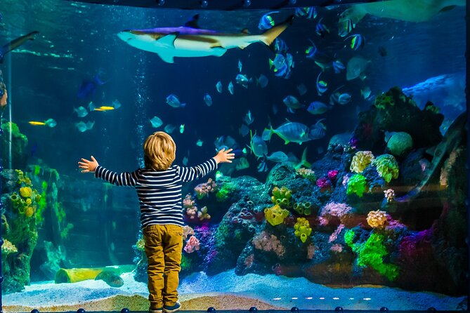 SEA LIFE Timmendorfer Strand Admission Ticket - Whats Included With Your Admission